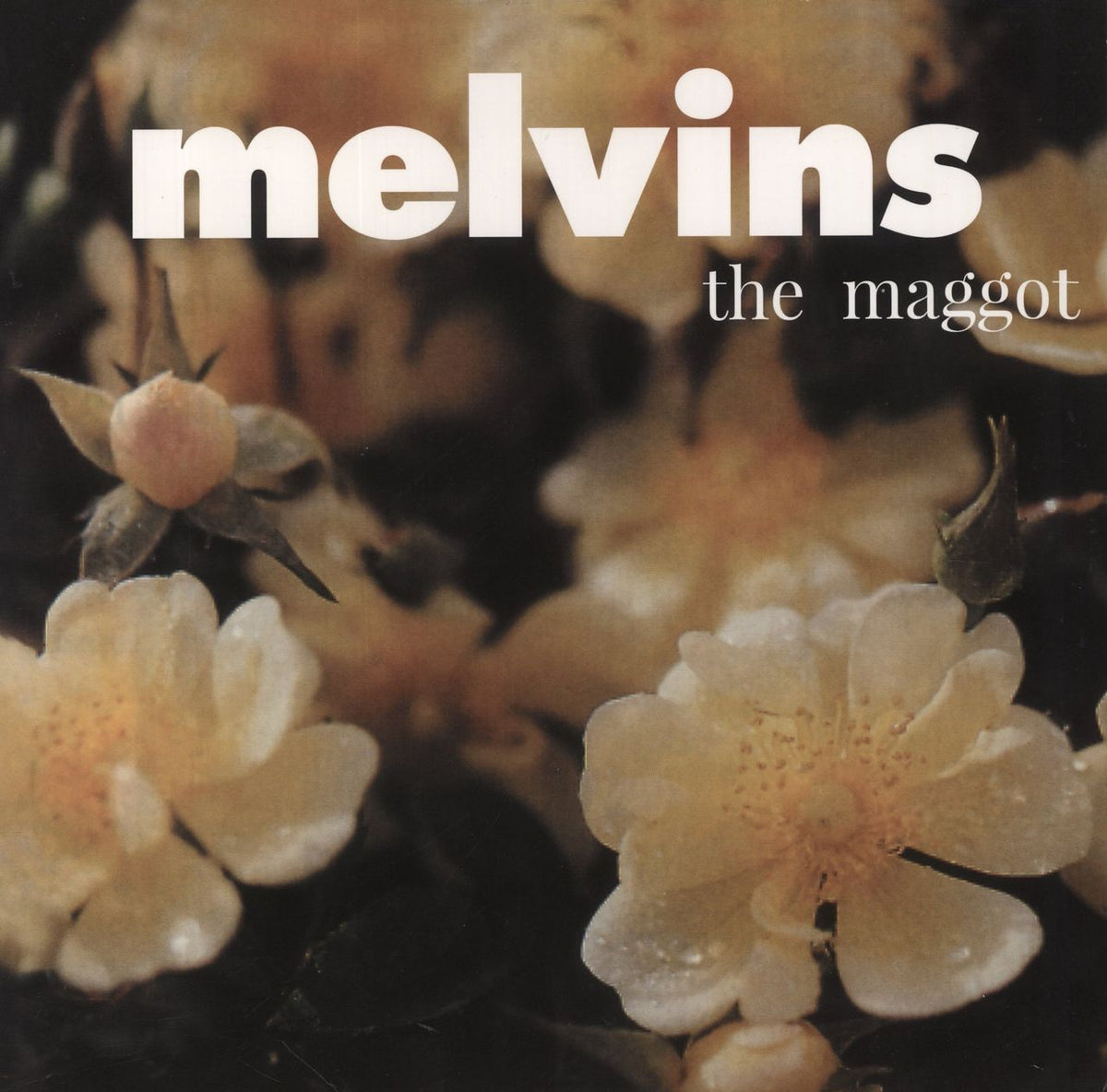 Melvins The Maggot & The Bootlicker - White & Green Vinyl US 2-LP viny ...