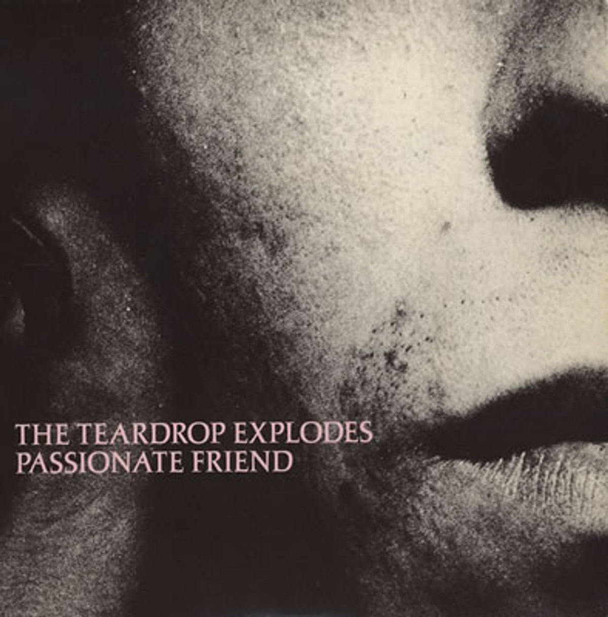The Teardrop Explodes Passionate Friend UK 7" vinyl — RareVinyl.com
