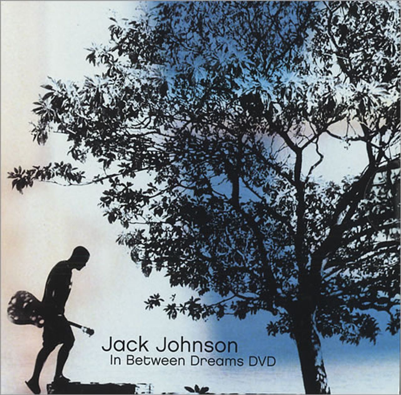 Jack Johnson In Between Dreams DVD US Promo DVD Single — RareVinyl.com