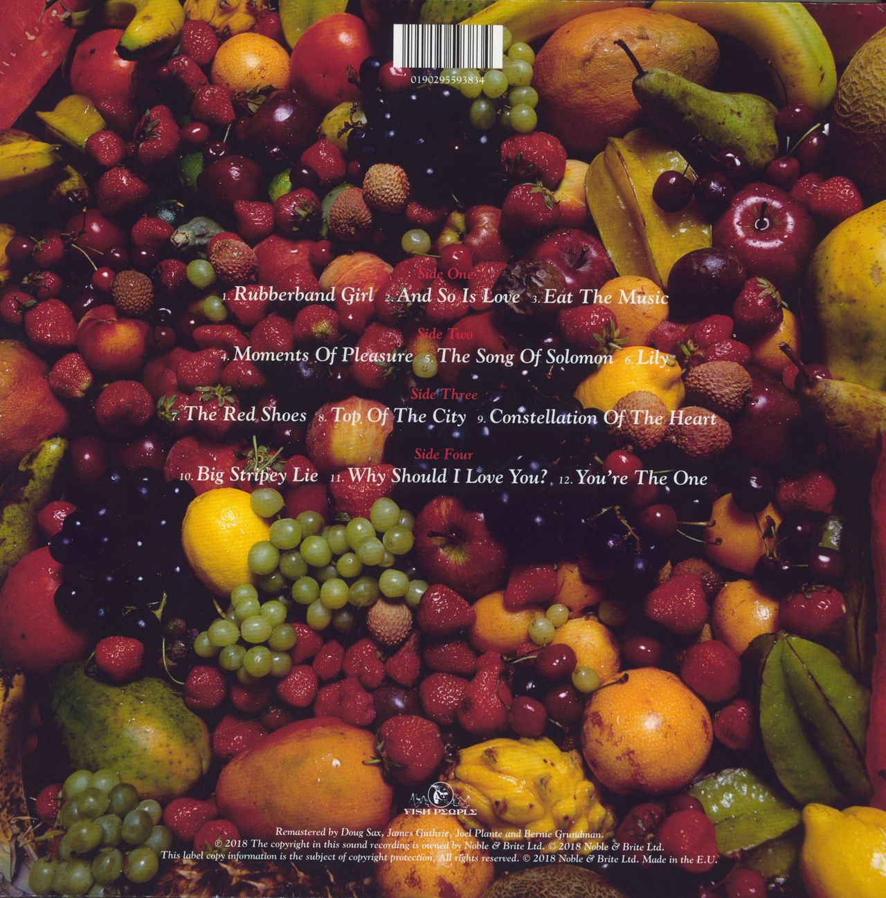 Kate Bush The Red Shoes - Remastered 180 Gram UK 2-LP vinyl set — RareVinyl.com