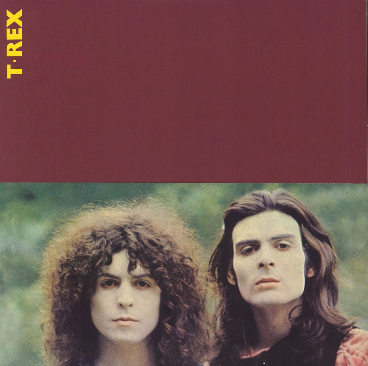 T-Rex / Tyrannosaurus Rex T-Rex - Brown Vinyl UK Vinyl LP — RareVinyl.com