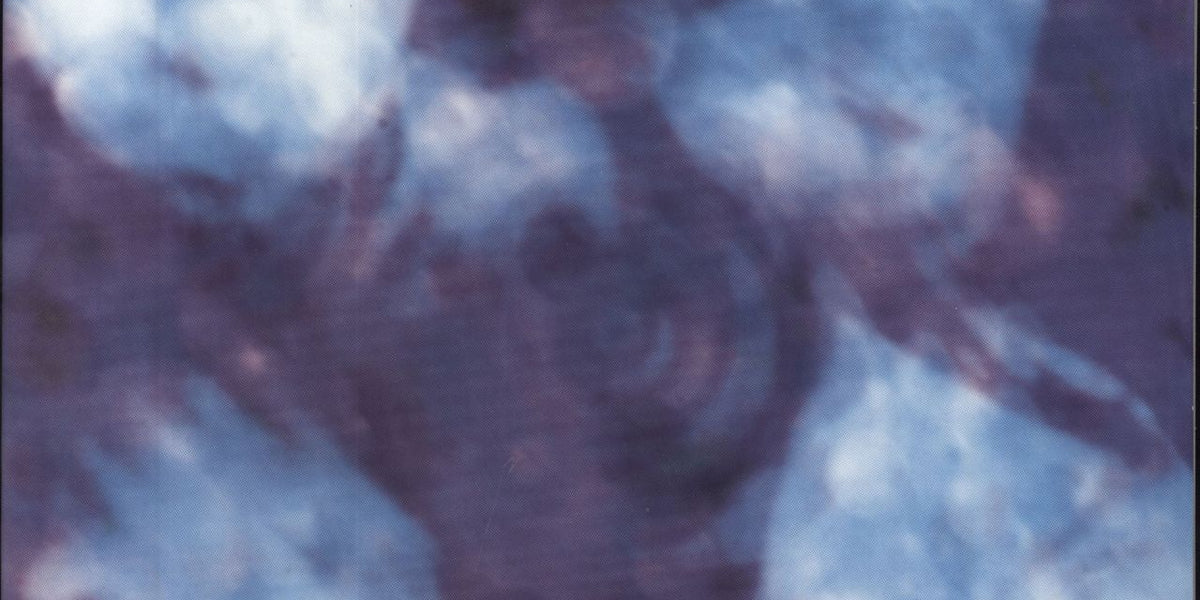 The Brian Jonestown Massacre Methodrone UK 2-LP vinyl set — RareVinyl.com